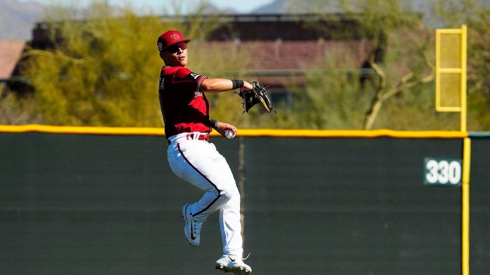 Arizona Diamondbacks Roster Moves 3/10 | Yardbarker