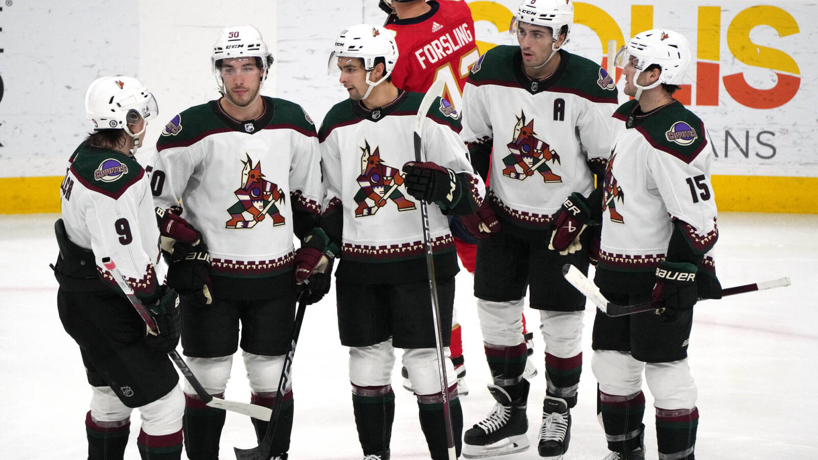 Coyotes Grab Center Adam Ružička | Yardbarker