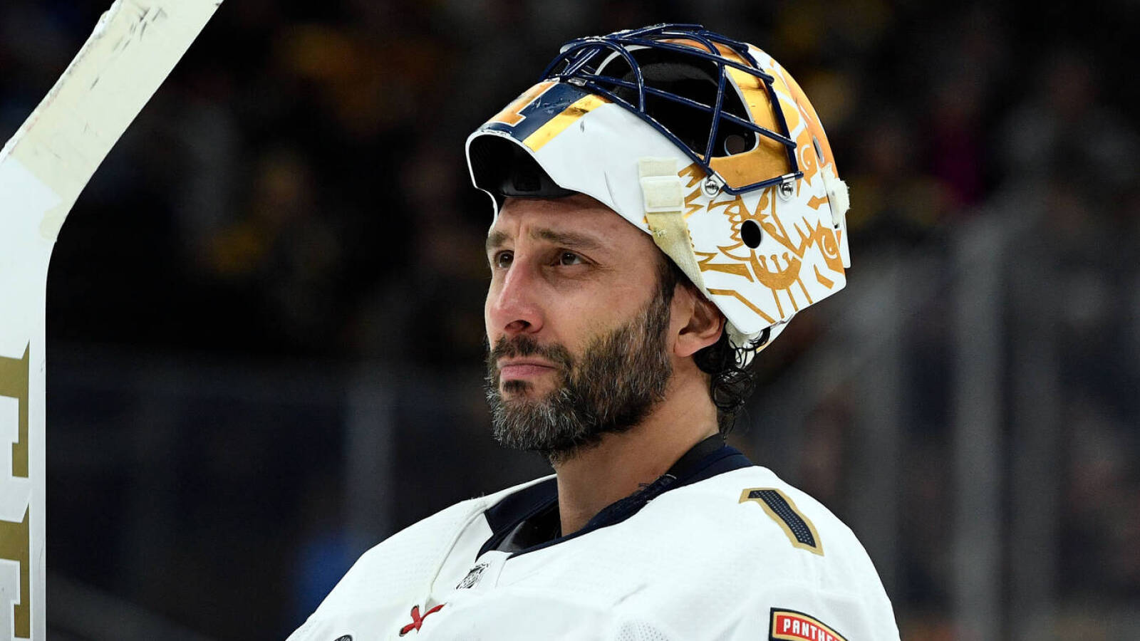 Roberto Luongo Islanders
