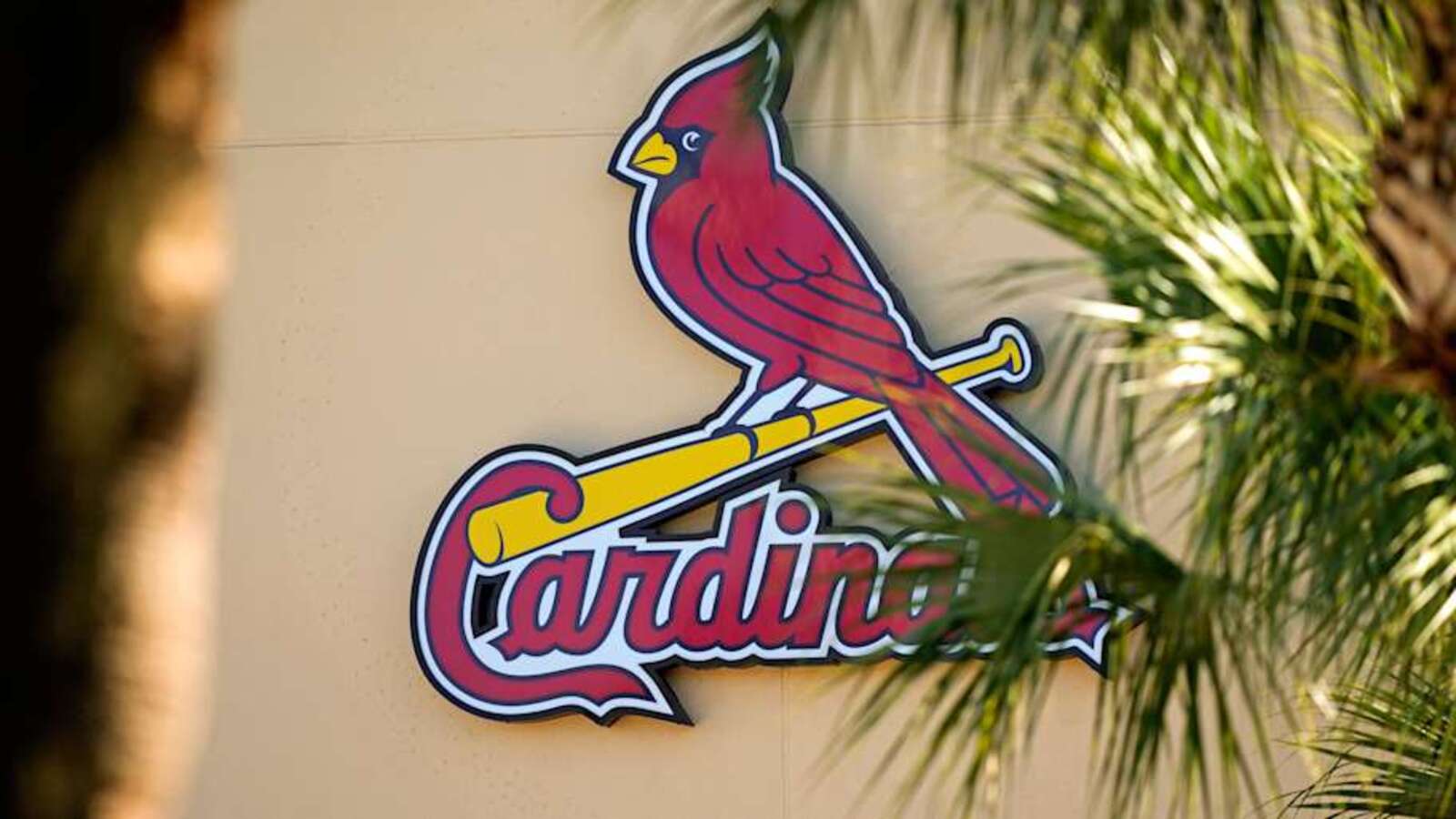 Cardinals Found Perfect Building Block Of The Future | Yardbarker