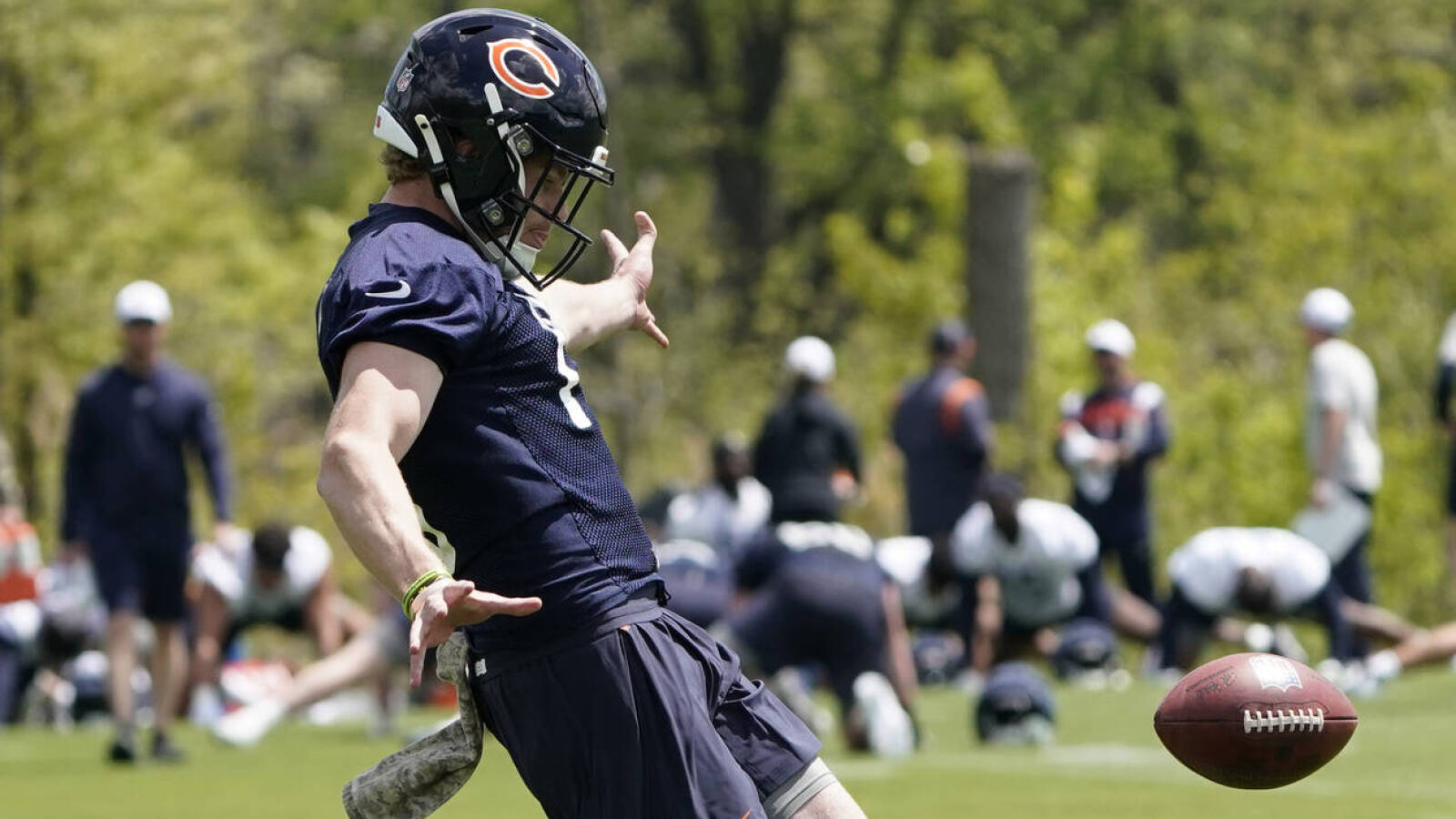 Chicago Bears sign punter Tory Taylor to rookie contract | Yardbarker