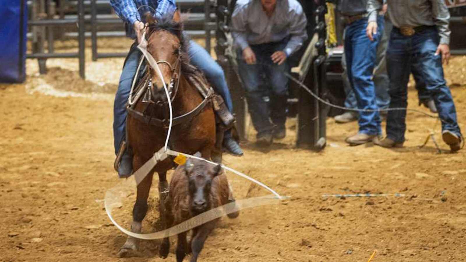 Panoka Stampede Splashing The Cash On This Year's Rodeo Contestants ...