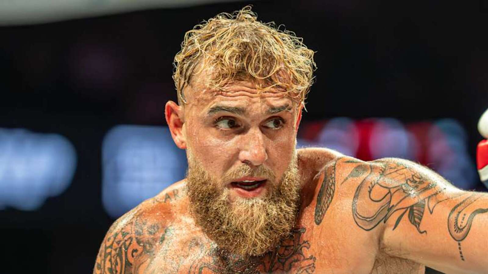 Boxing Insider Reveals The Three Replacements Given To Jake Paul By ...