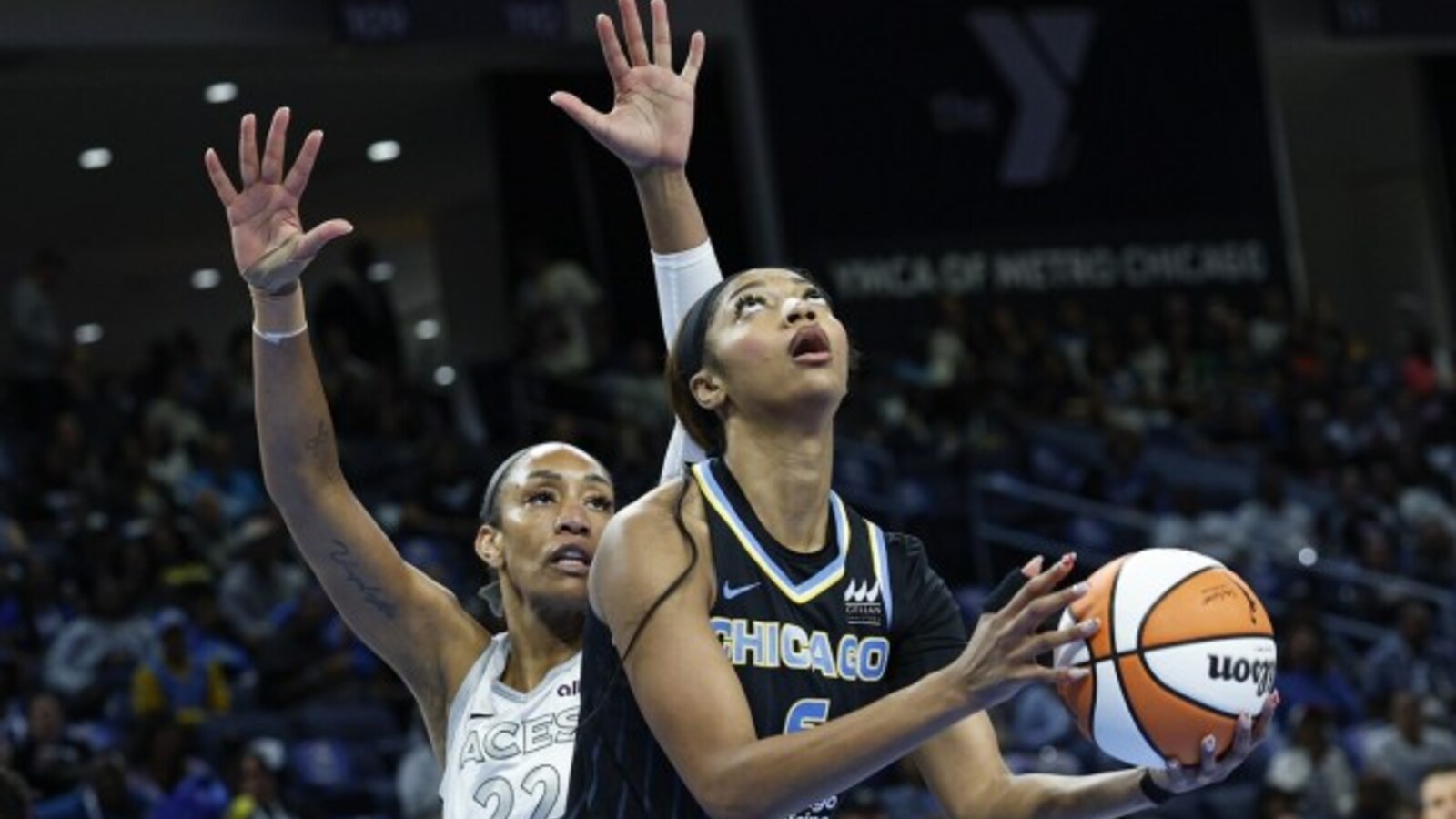 From Court To Cartoon: Angel Reese And Aja Wilson Join Stephen Curry’s ...