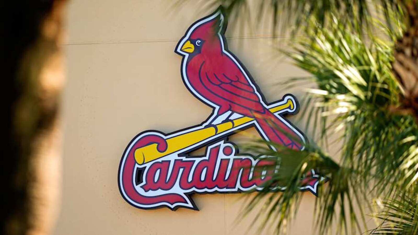Cardinals Catcher May Not Stick Around Despite Impressive Season ...