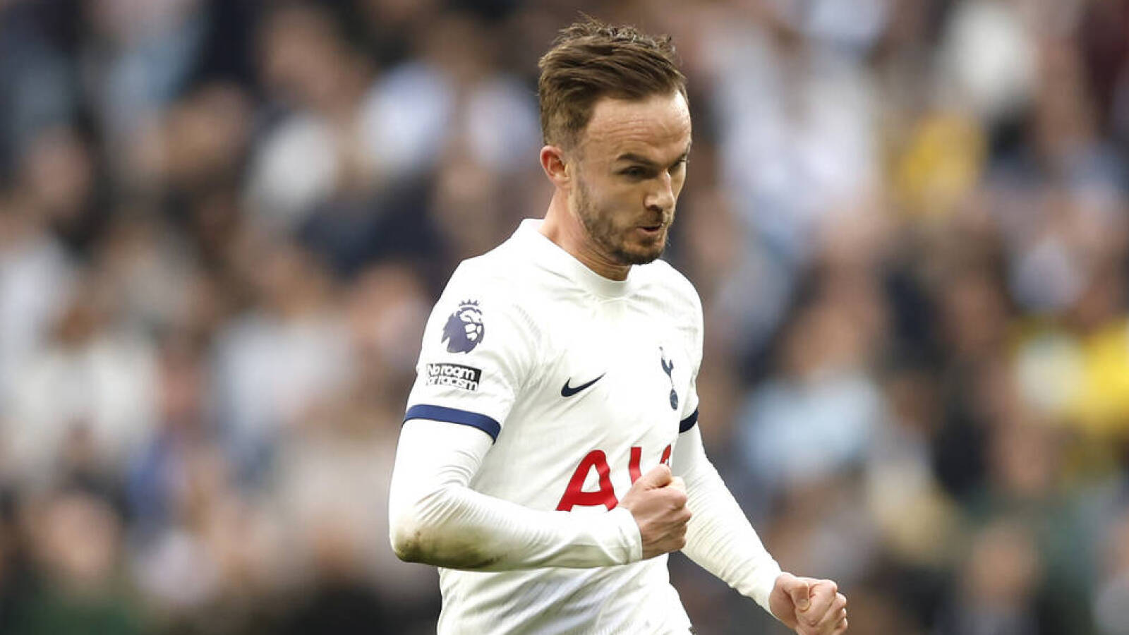 Chelsea legend says club 'should’ve signed James Maddison and James ...