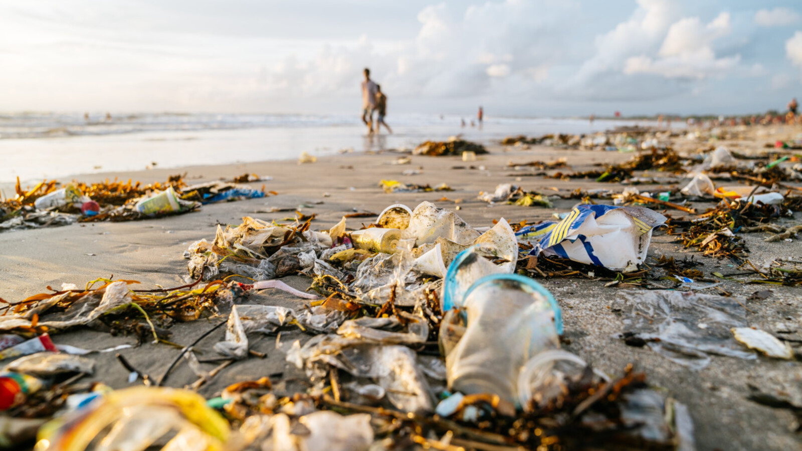 Kelly Slater on Bali, 'Too Much Garbage': Can The Island of The Gods Go ...