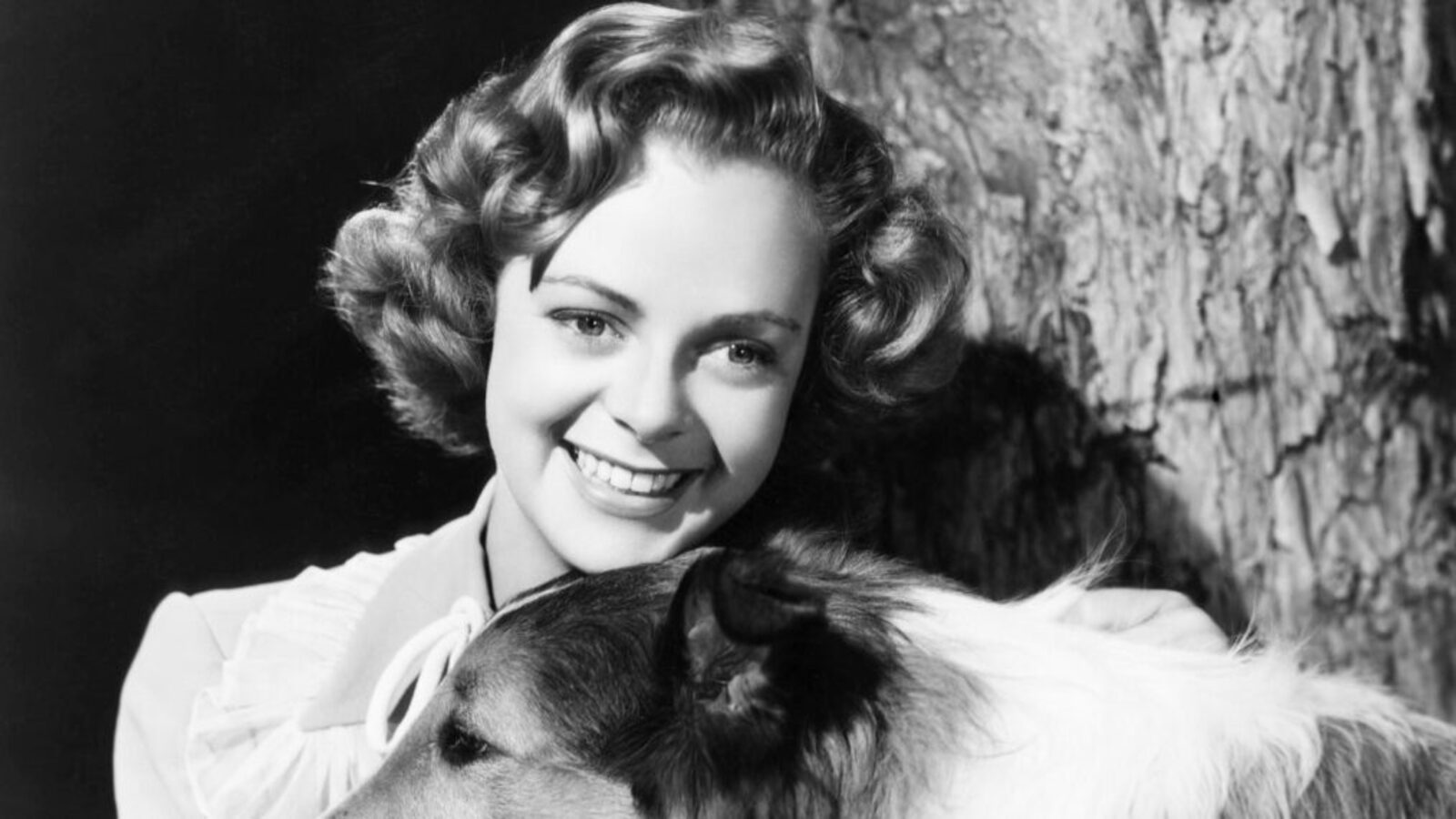 June Lockhart Dead: ‘Lassie’ & ‘Lost in Space’ Actress Was 100 | Yardbarker