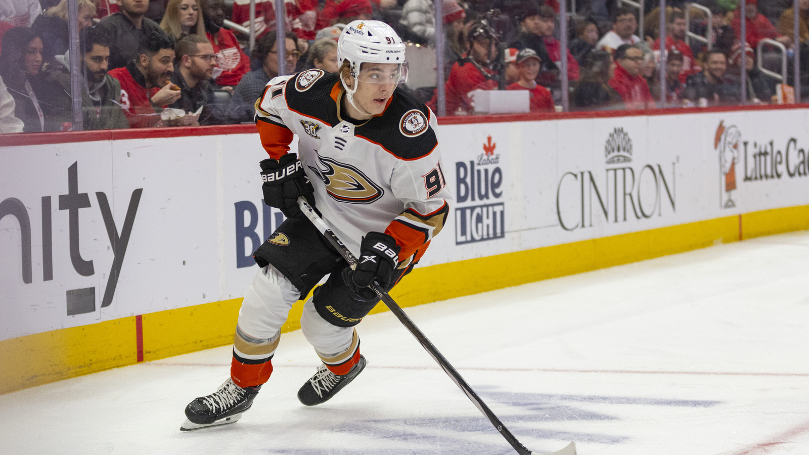 Leo Carlsson returns to Anaheim Ducks lineup against Florida Panthers ...