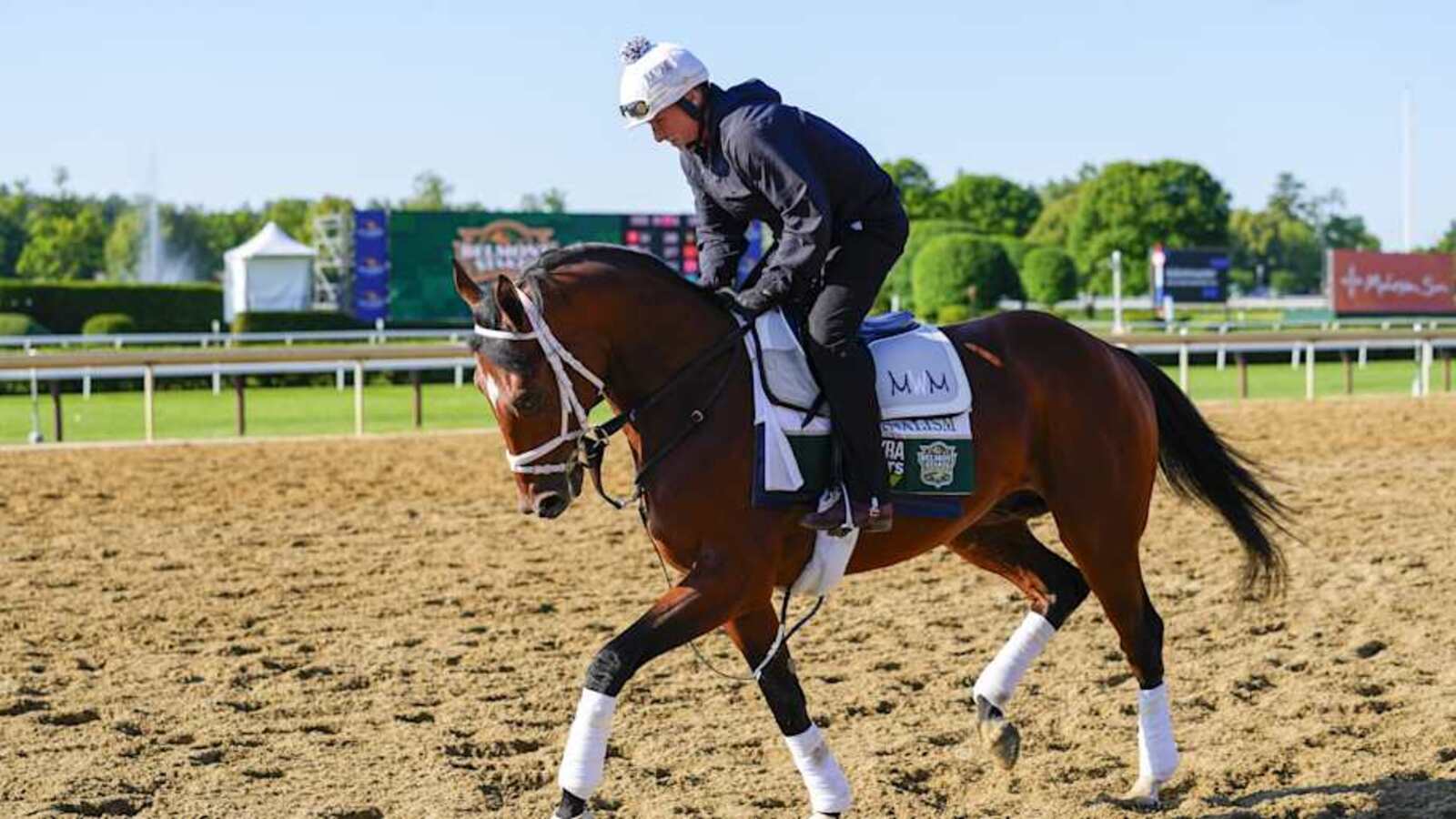 Haskell Stakes: Journalism the heavy favorite with Breeders' Cup berth ...