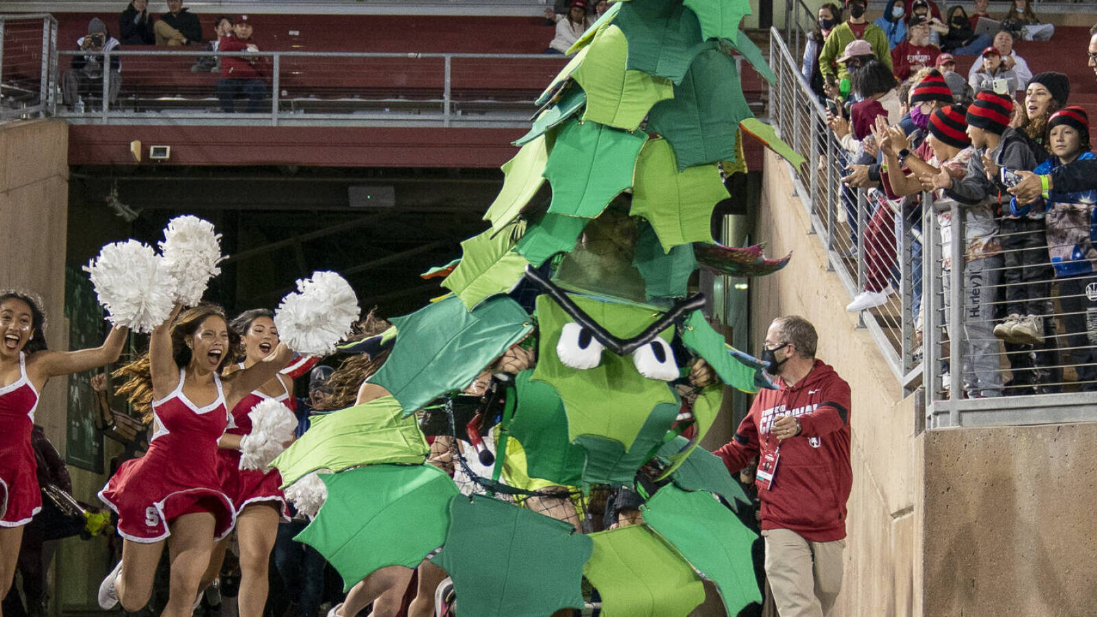 Stanford Tree mascot learns punishment for unveiling banner | Yardbarker