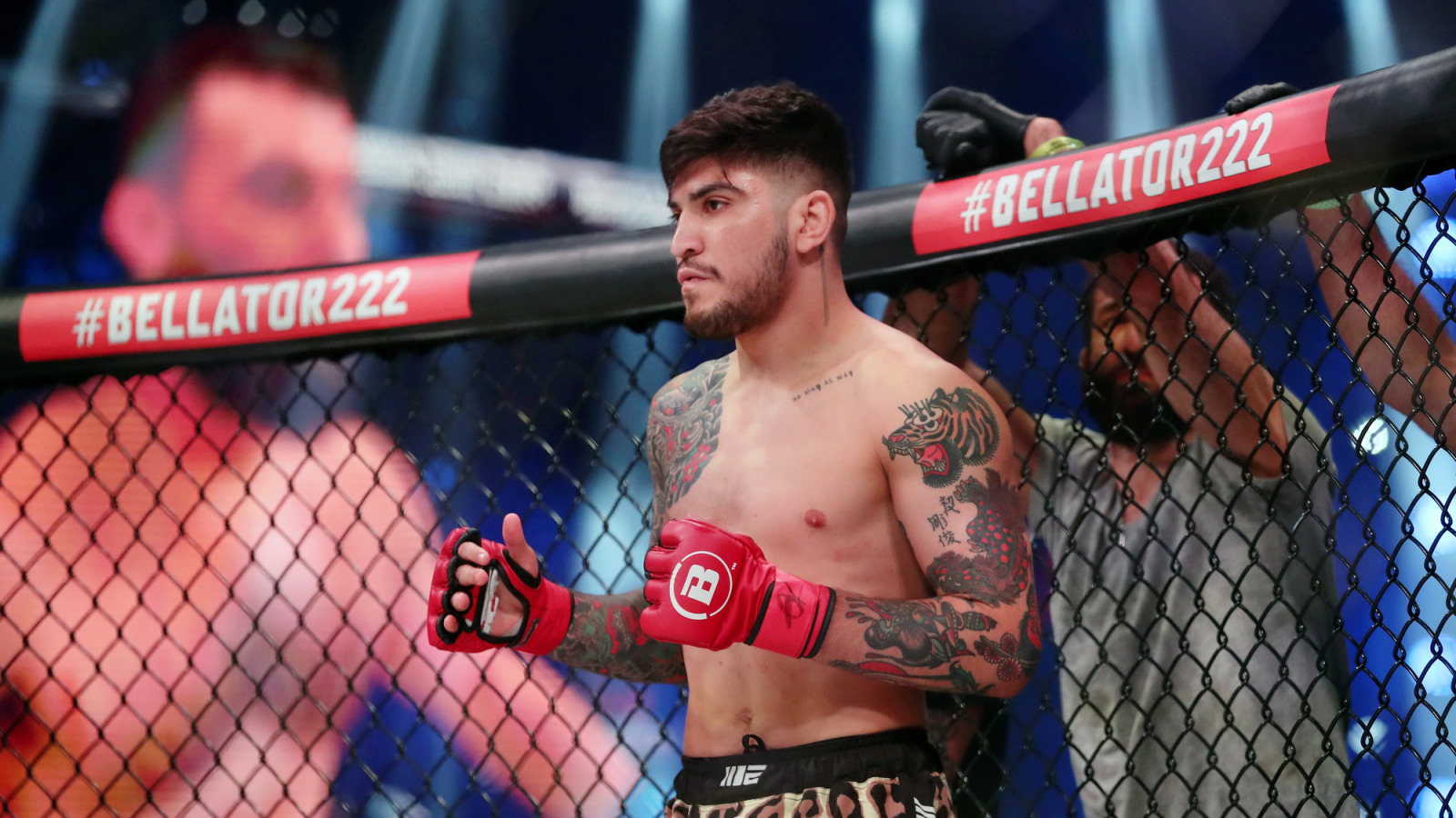 Dillon Danis Banned For Life: Dana White Says 'I Messed Up' After UFC ...
