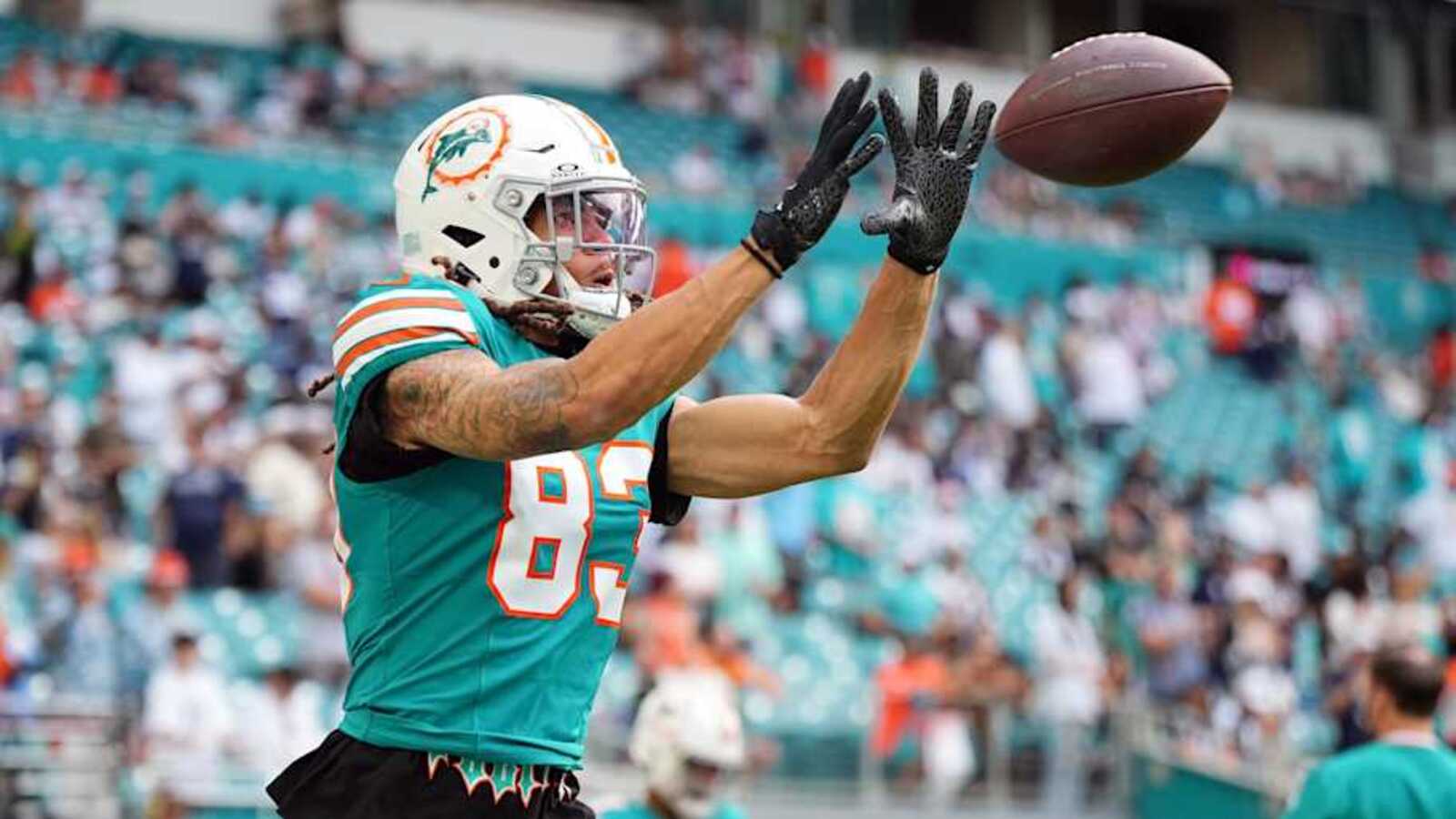 Former Dolphins Wide Receivers Looking for Comeback Route to NFL ...