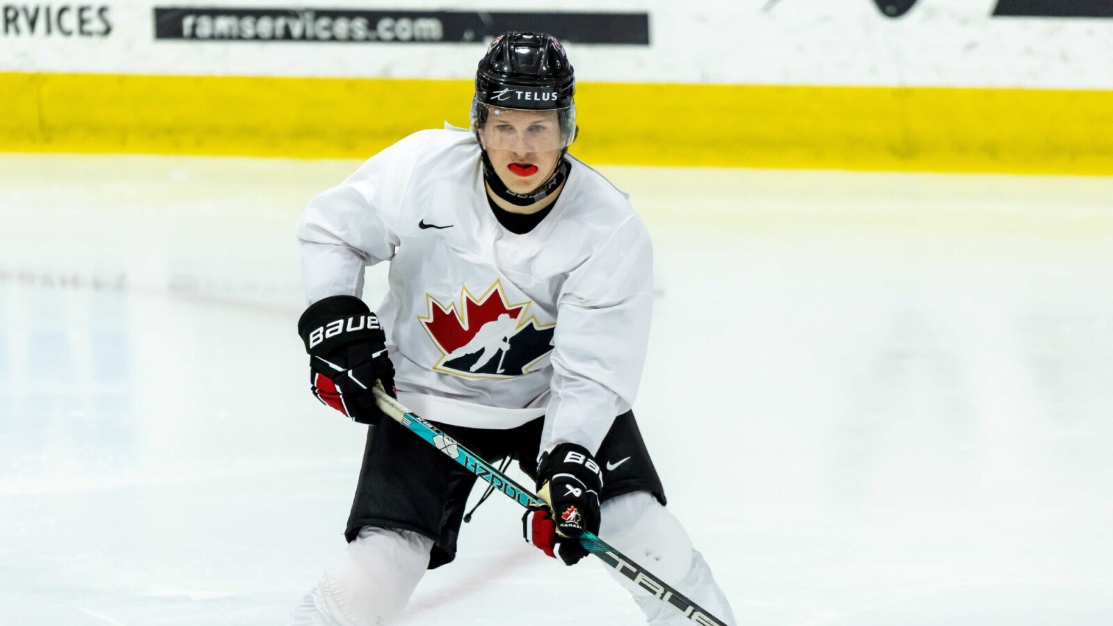 Andrew Cristall, Jakub Vrana, Henrik Rybinski Fighting for Capitals ...