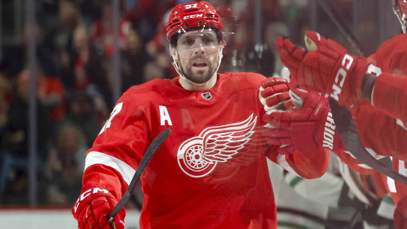 Red Wings Potentially Pivot On Plan for Perron at Trade Deadline ...