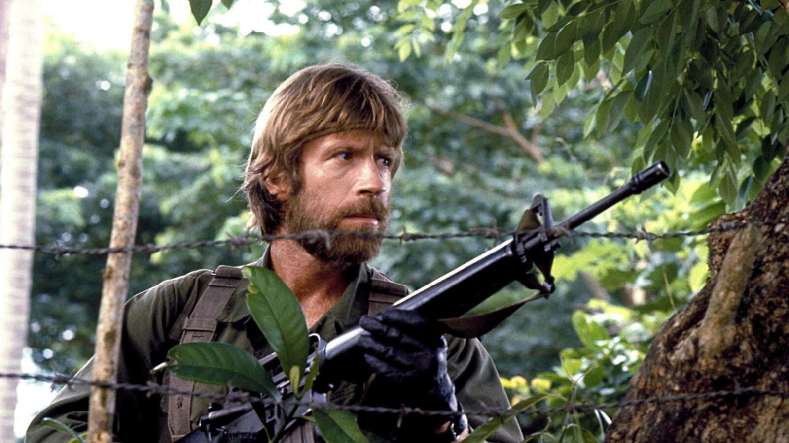 16 awesome Chuck Norris movies are streaming 100 percent free right now ...