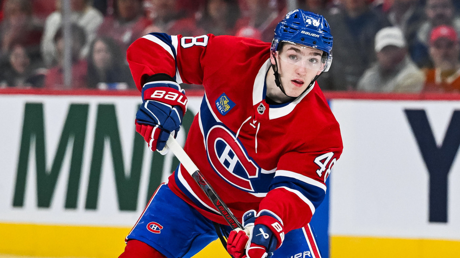 Lane Hutson among the finalists for the Calder Trophy | Yardbarker