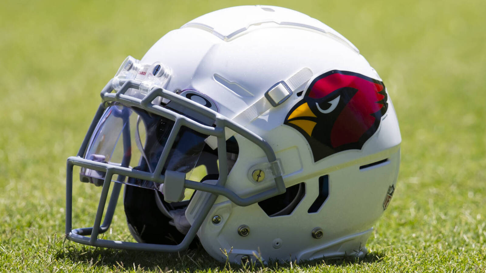 Cardinals suddenly part ways with 'respected' executive | Yardbarker