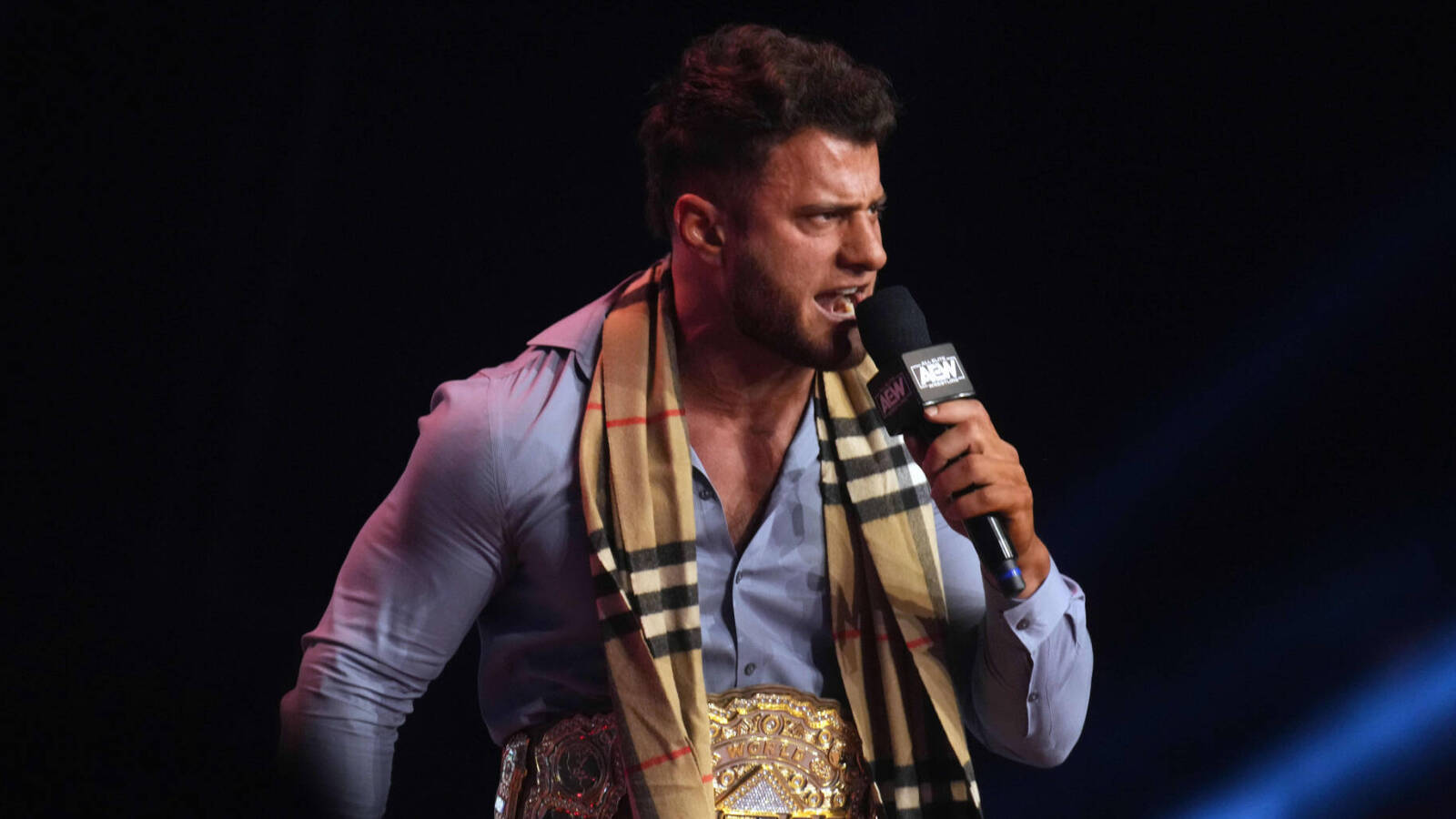 Dethroned AEW Champion removed from roster page | Yardbarker