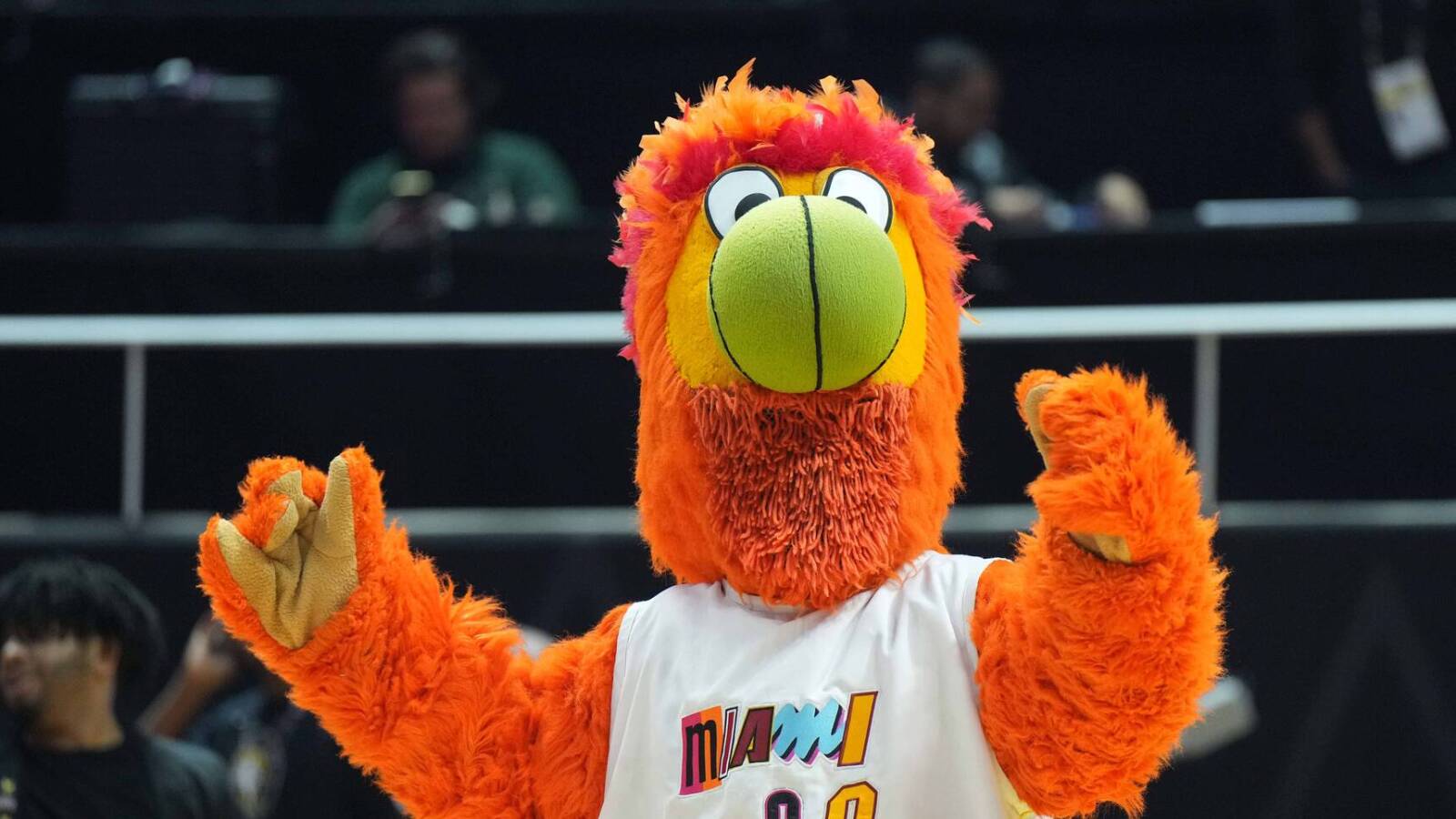 Nba Mascots Heat