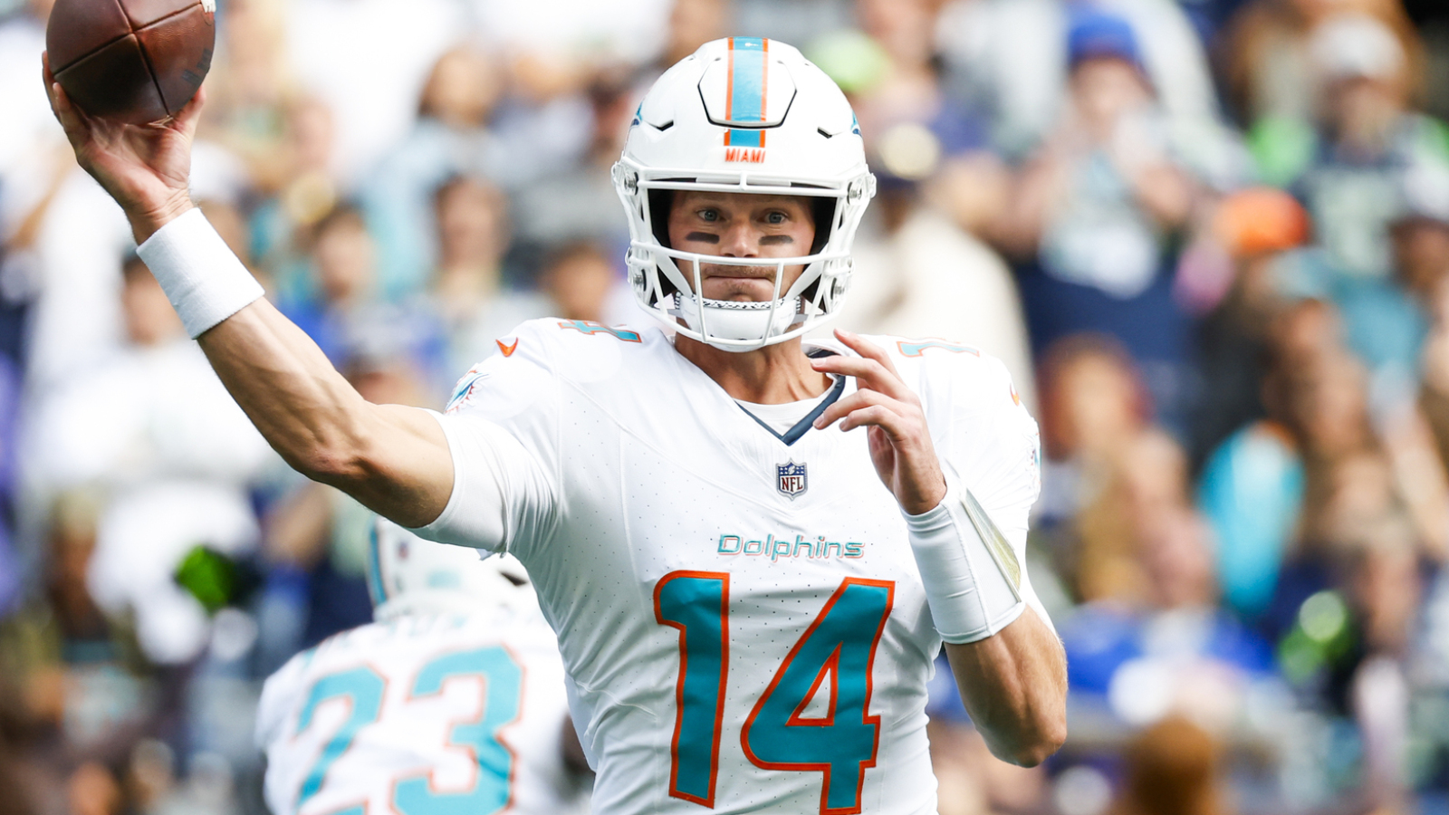Dolphins Cut QB Tim Boyle | Yardbarker