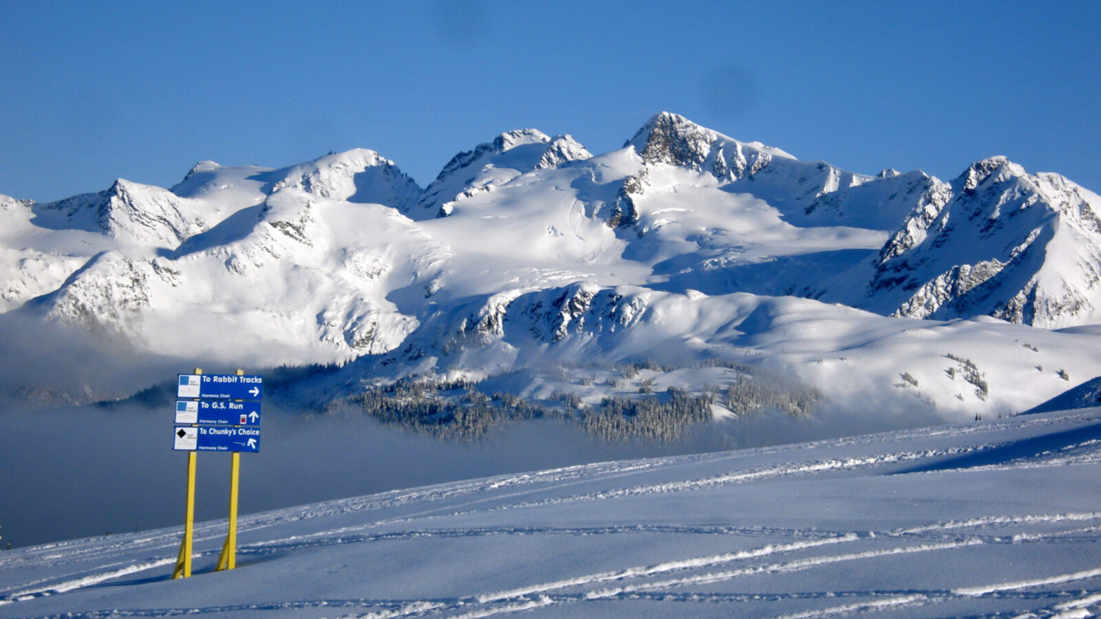 Ski Slope Ratings Explained: From Green to Black Diamond Runs | Yardbarker