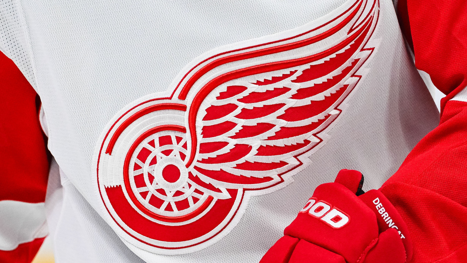 Red Wings Picks Among Top SHL Teens | Yardbarker