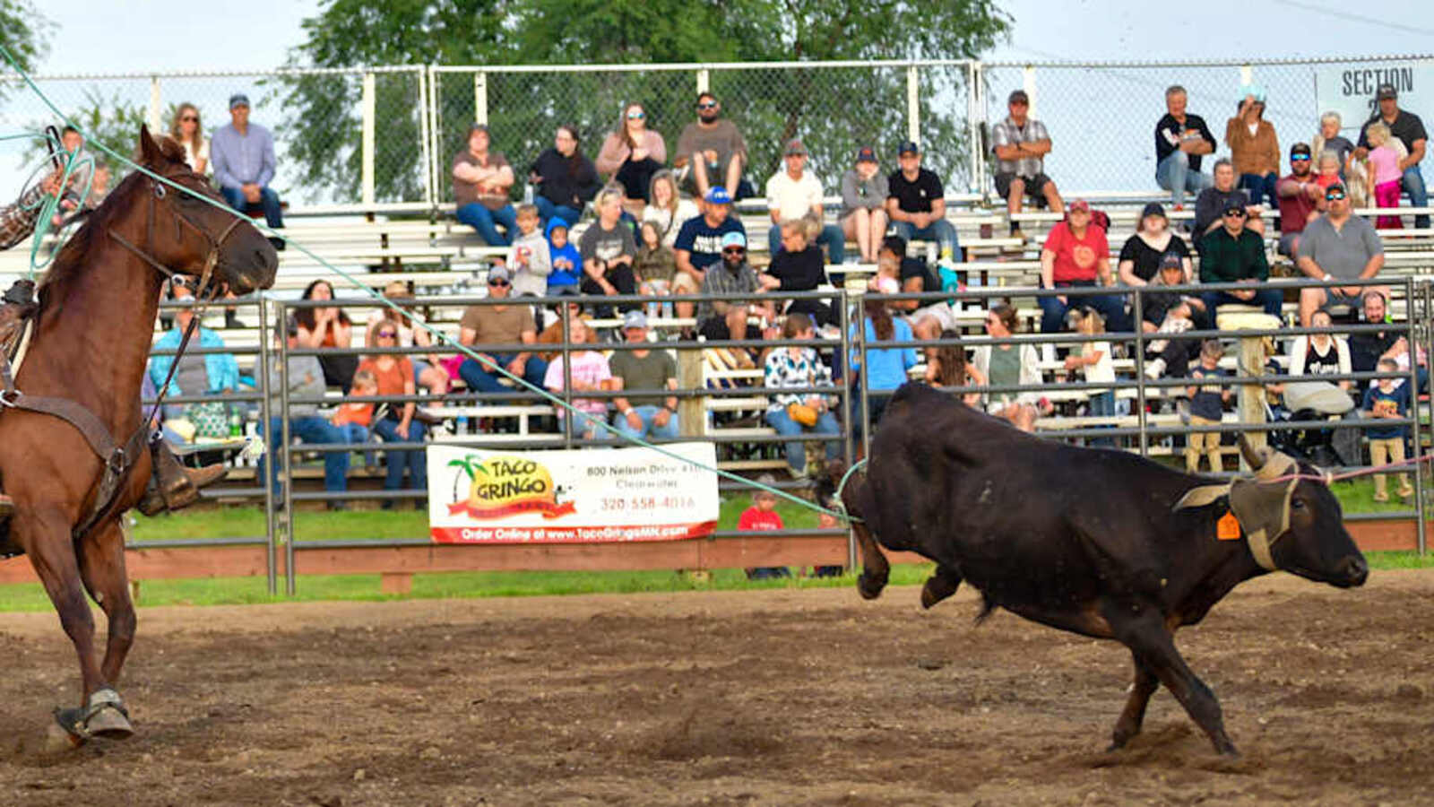 Which Team Roping Heelers are Headed to Their First NFR? | Yardbarker