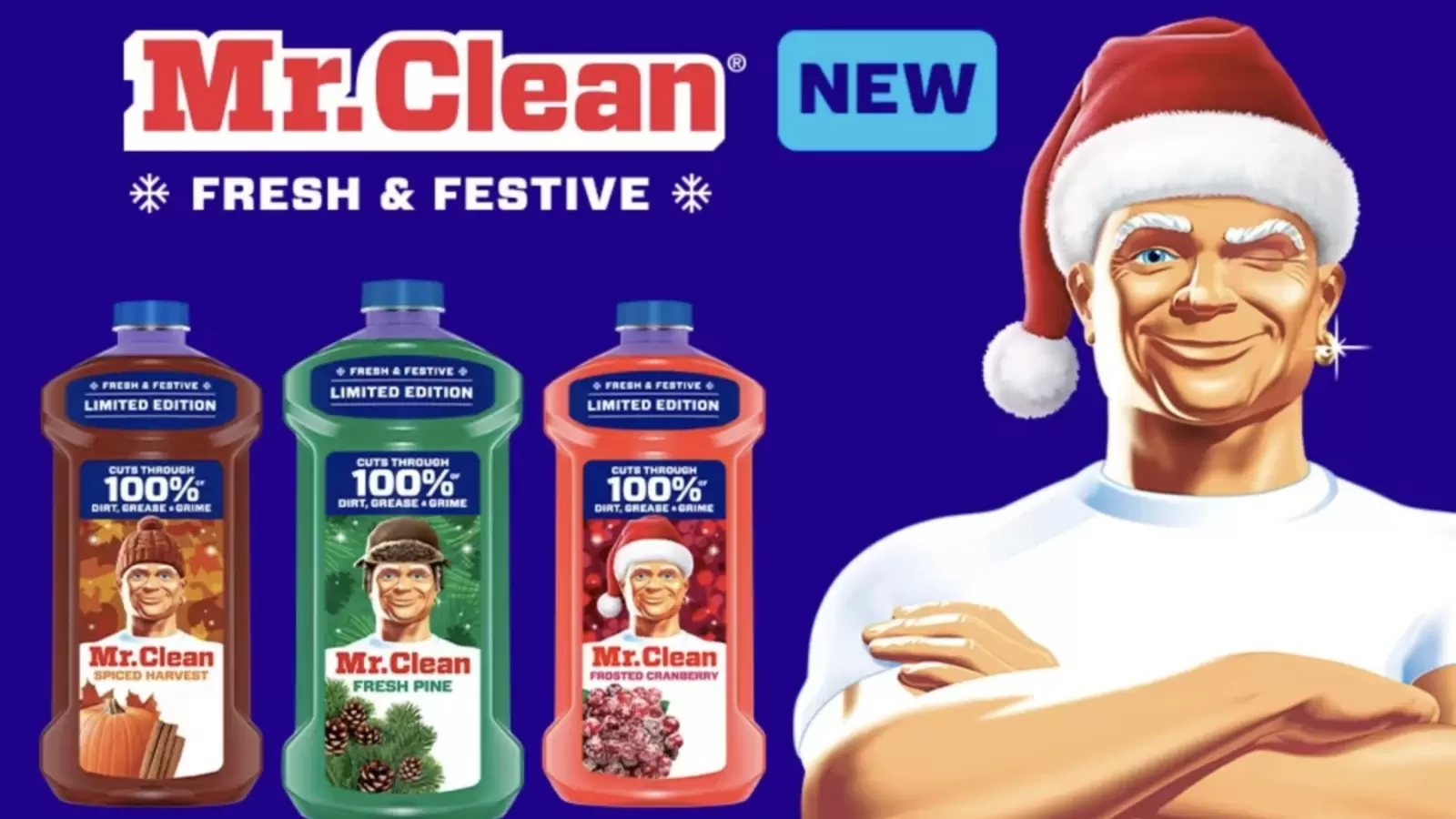 MR. CLEAN Pumpkin Spice Cleaner Brings Fall Vibes to Your Bathroom ...