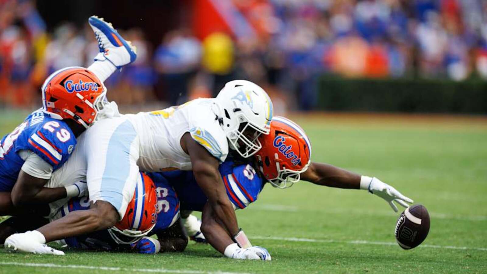 Graham Becoming Staple of Florida Gators Defense | Yardbarker