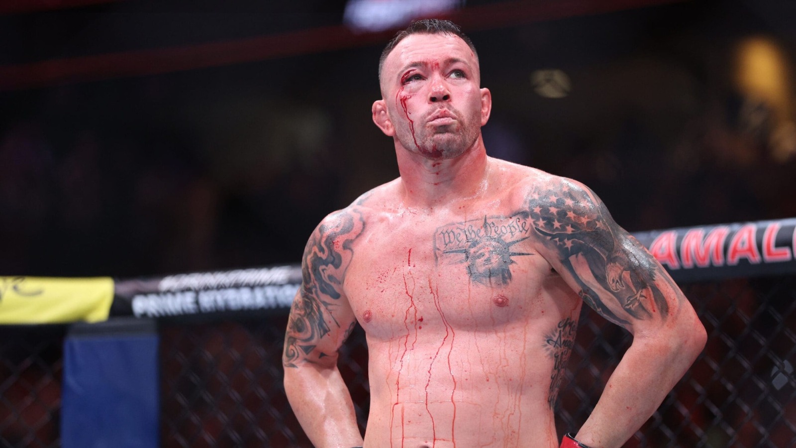 Colby Covington Targets UFC White House Card and Potential Bout with ...