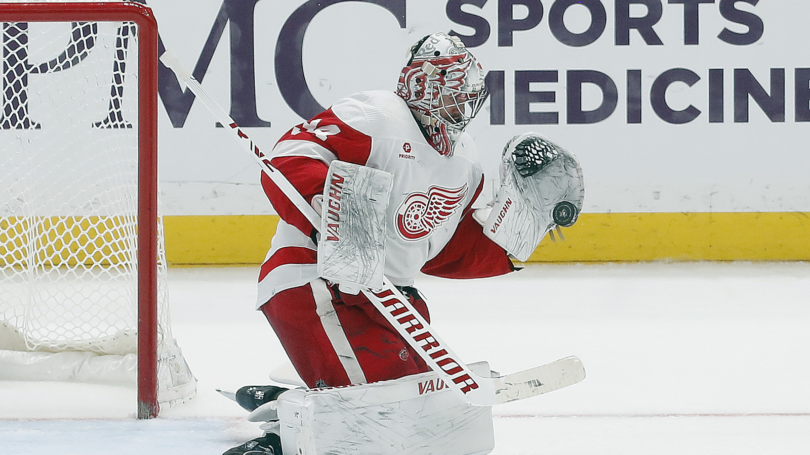 Who Starts in Goal if Red Wings Make the Playoffs?; Lyon Starts vs ...