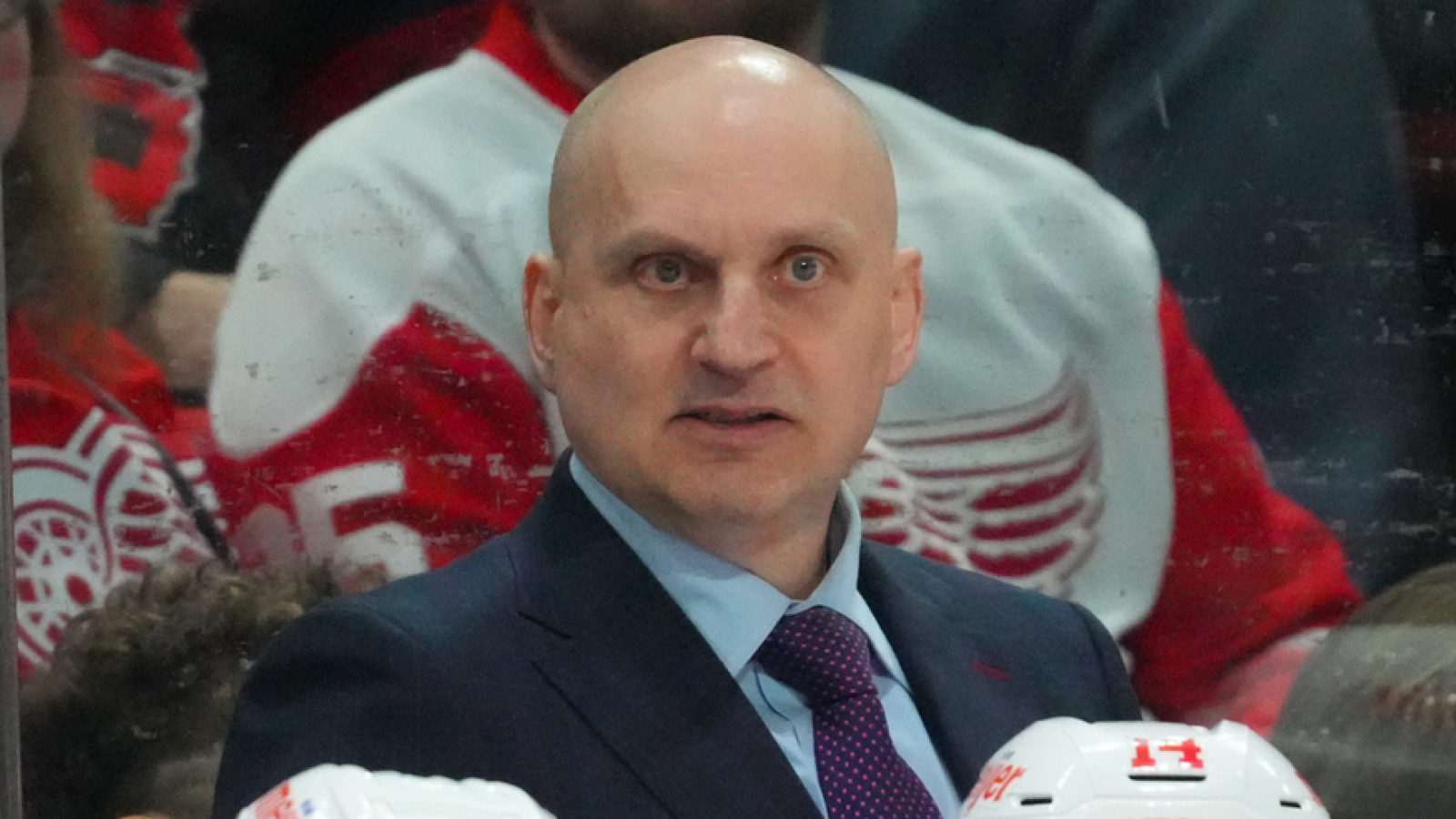 Red Wings fire head coach Derek Lalonde, hire Todd McLellan as ...