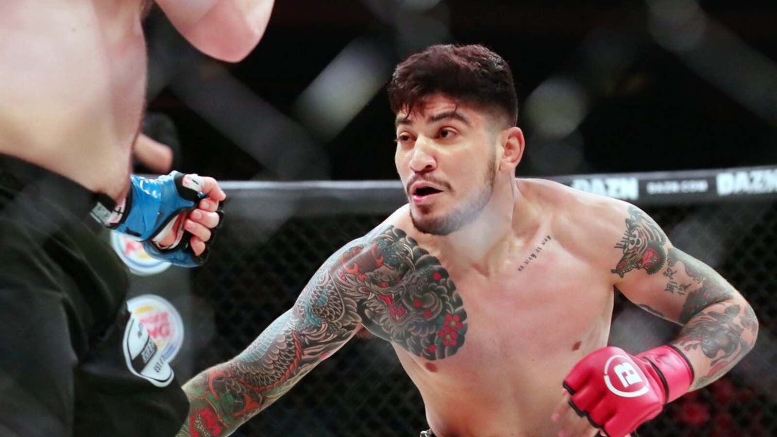 Dana White: Dillon Danis banned from UFC after brawl | Yardbarker