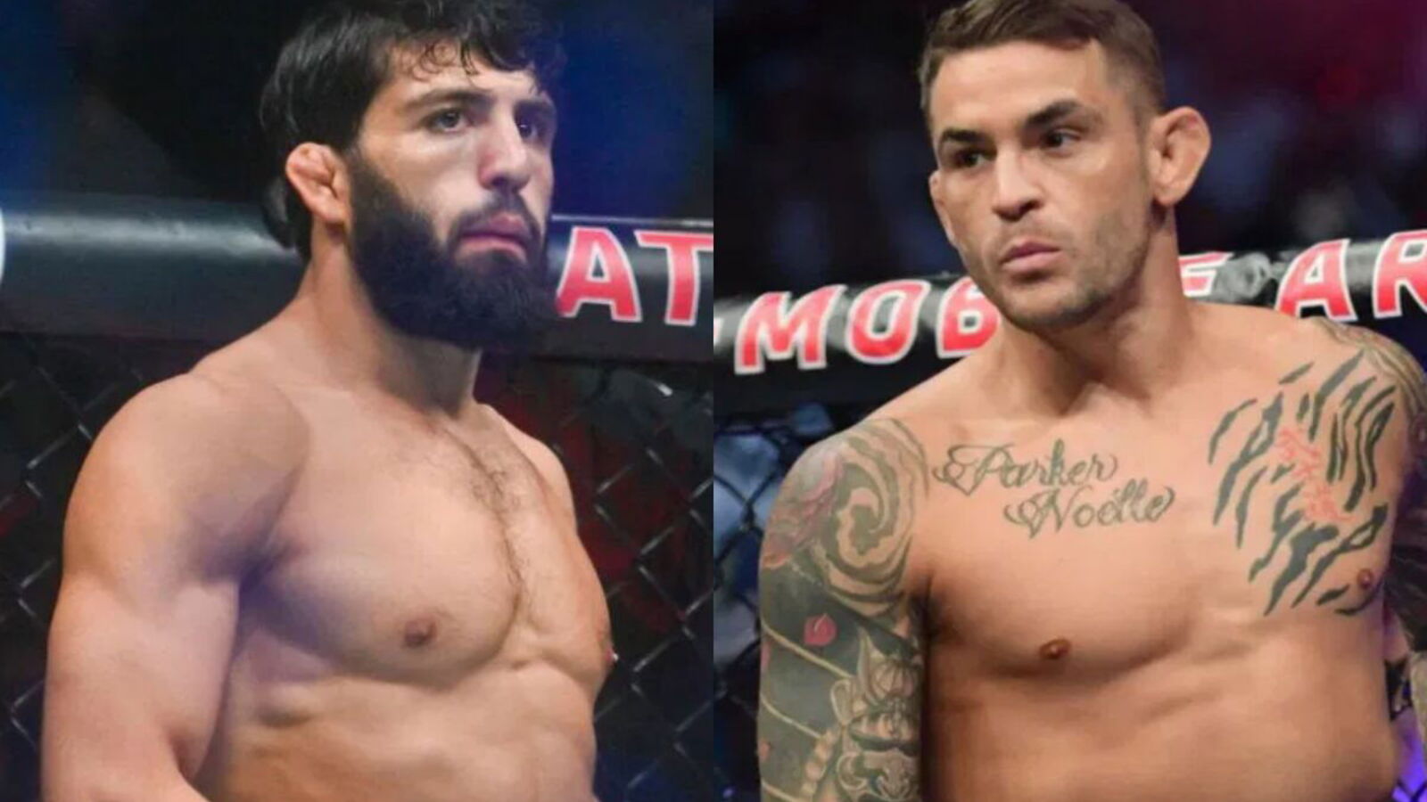 Dustin Poirier vs. Arman Tsarukyan in Talks but Not for a UFC Fight ...