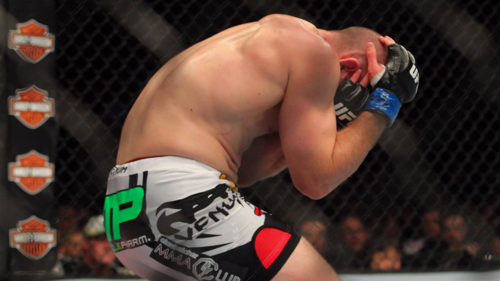 Alan Belcher Talks Family, Junior Dos Santos & Gamebred Bareknuckle MMA ...