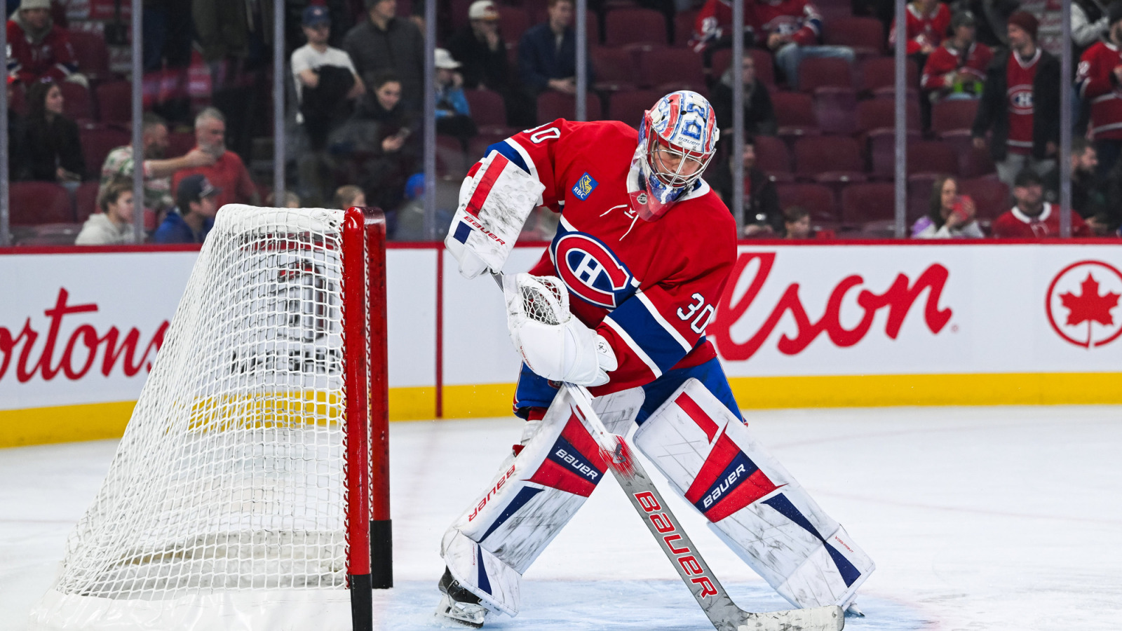 Cayden Primeau and Michael Pezzetta in the waivers | Yardbarker