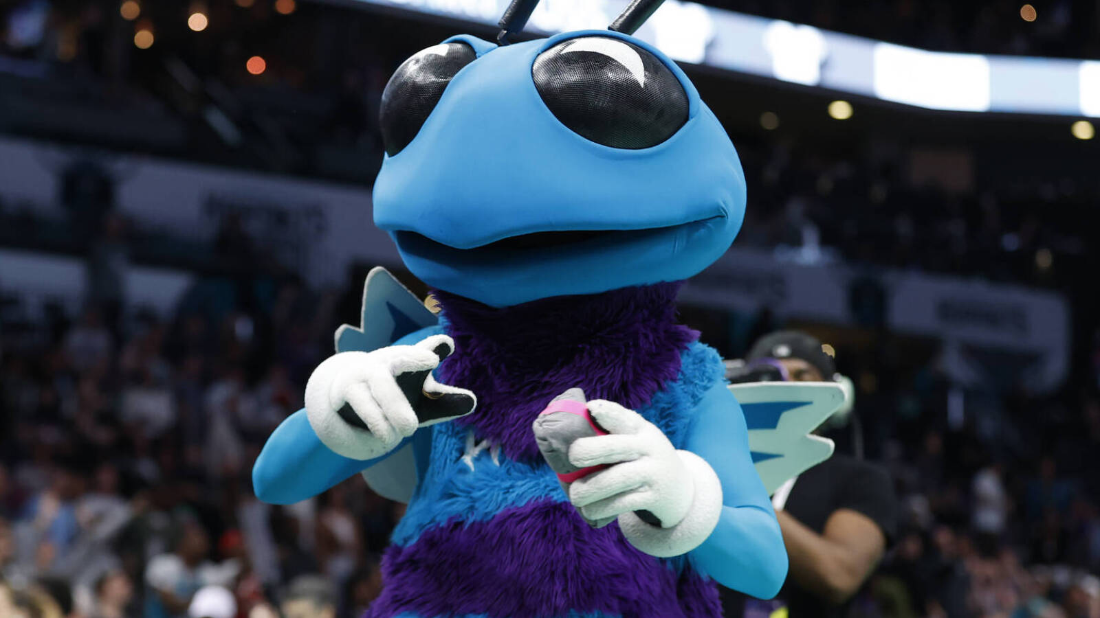 Watch: Hornets mascot reacts to team's controversial draft pick ...