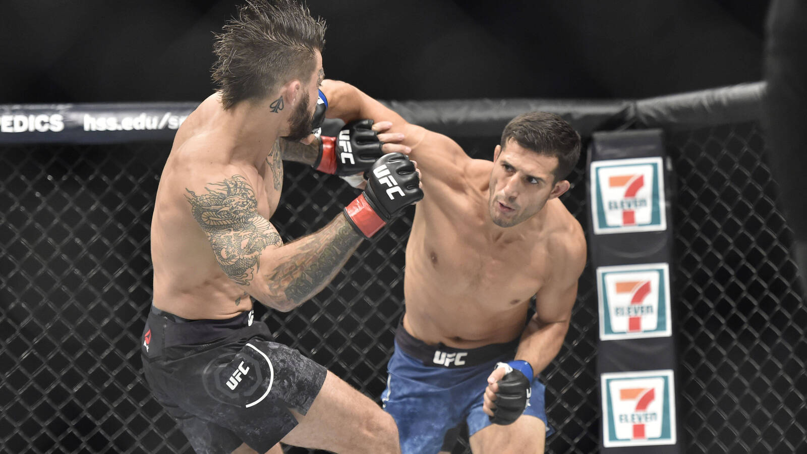 Dominick Reyes’ Brother: Is Alex Reyes Related? UFC Fighters’ Sibling ...