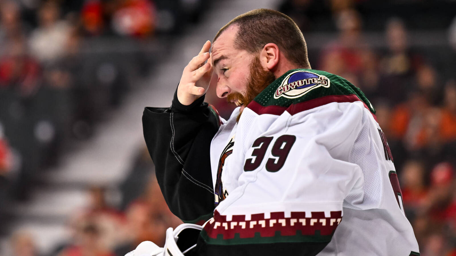 What to Expect From the Coyotes’ Final Game in Arizona - BVM Sports