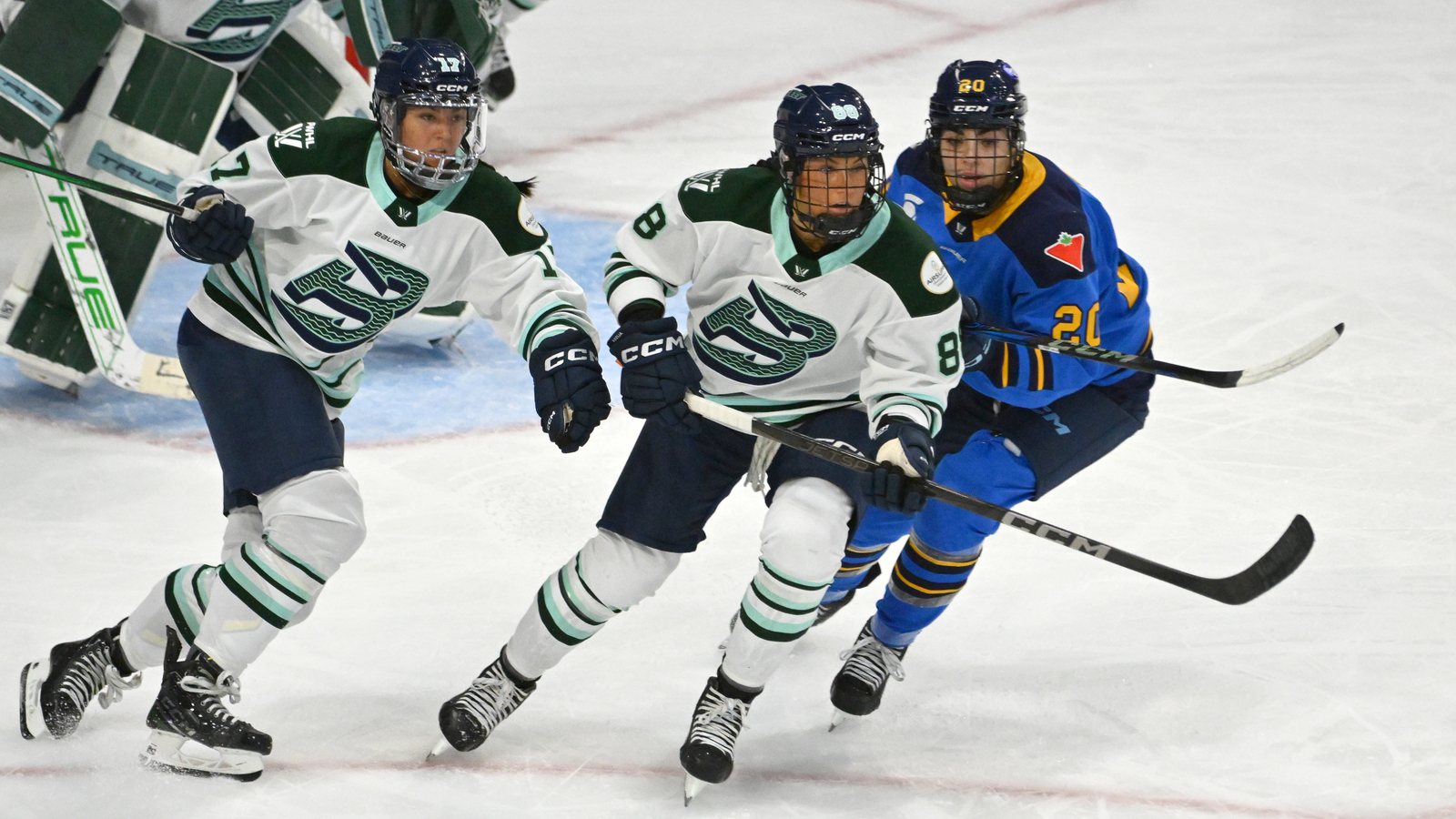 PWHL Announces Expansion Draft Process | Yardbarker