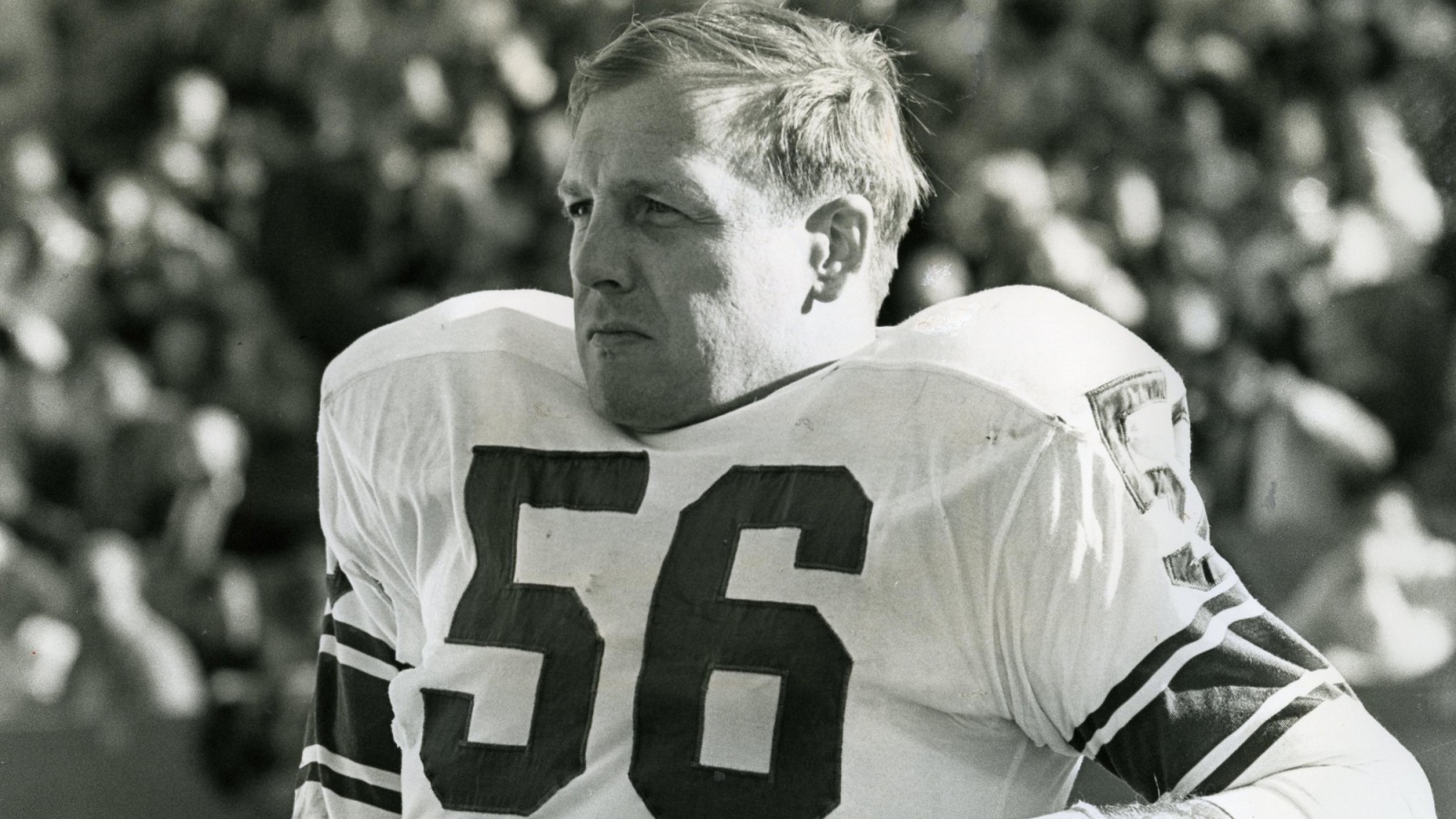 Hall of Famer, Lions legend Joe Schmidt dies at 92 | Yardbarker