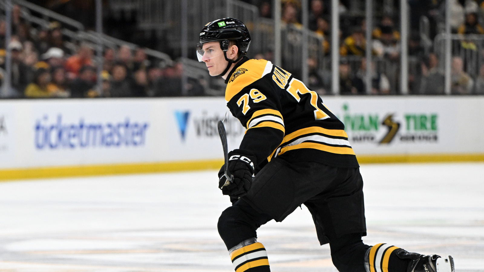 Bruins Assign Matt Poitras And Michael Callahan To AHL | Yardbarker