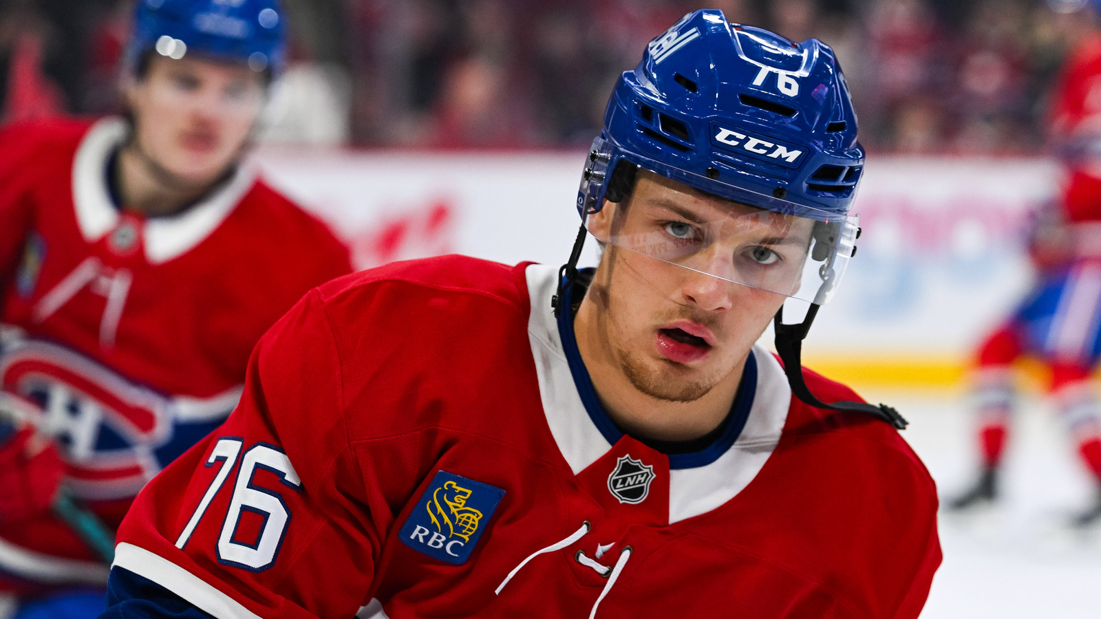 Zachary Bolduc: 'It’s a privilege to play for Martin St-Louis' | Yardbarker
