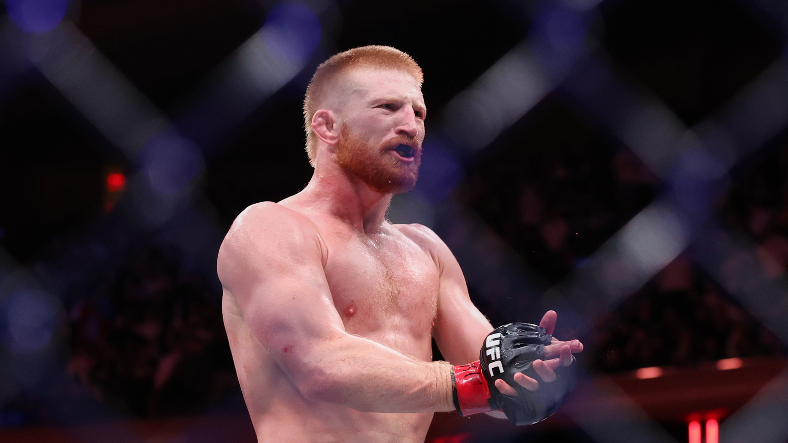 UFC 322 Bonuses: Four Violent Finishes Cash $50K at Madison Square ...