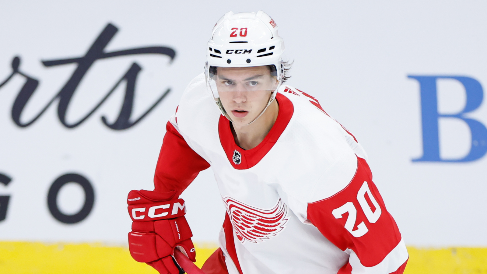 Albert Johansson could be steadying presence for Red Wings | Yardbarker