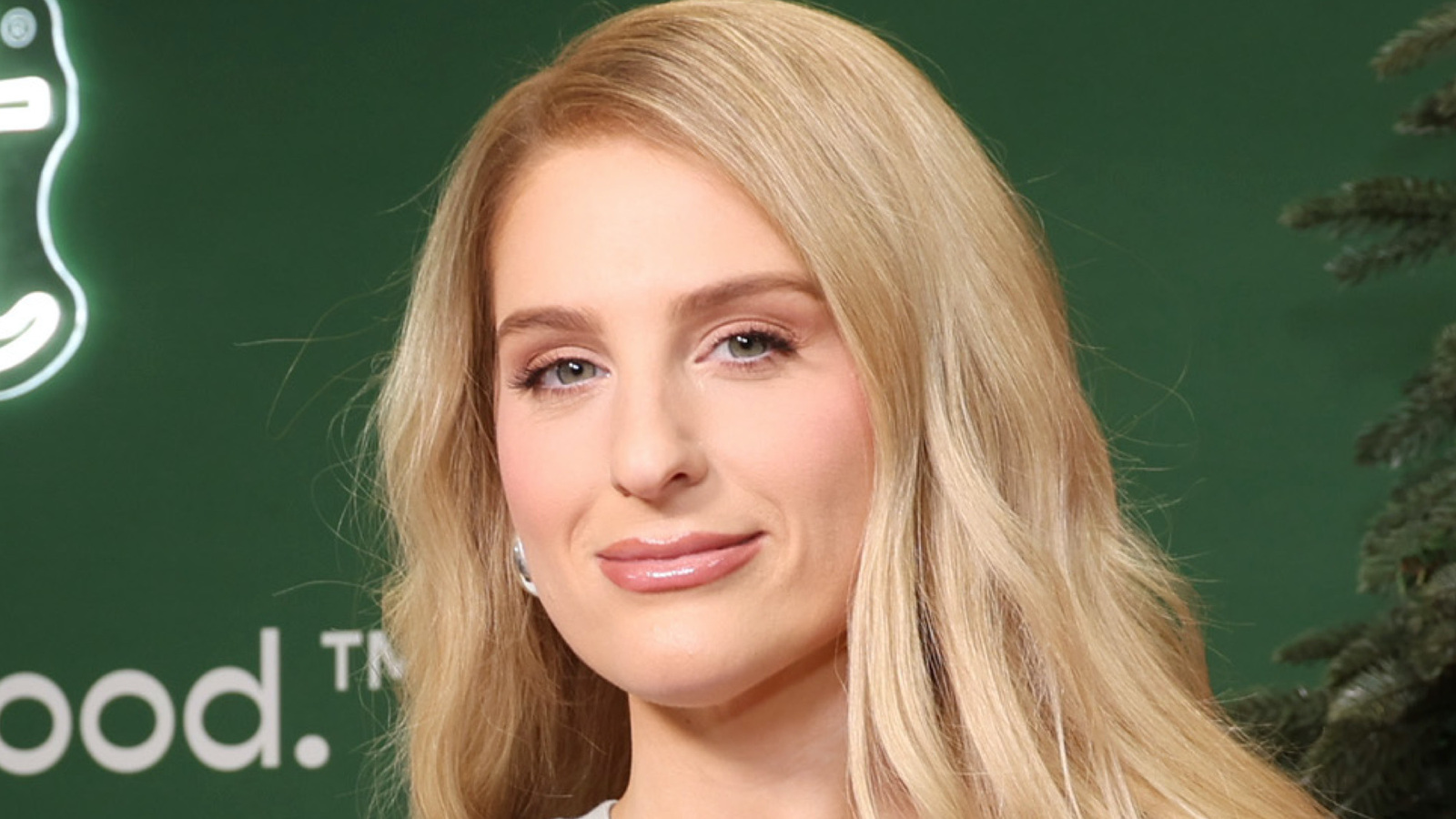 Meghan Trainor Pushes Back on Online Sleuths Linking Her to 'Toxic Mom ...