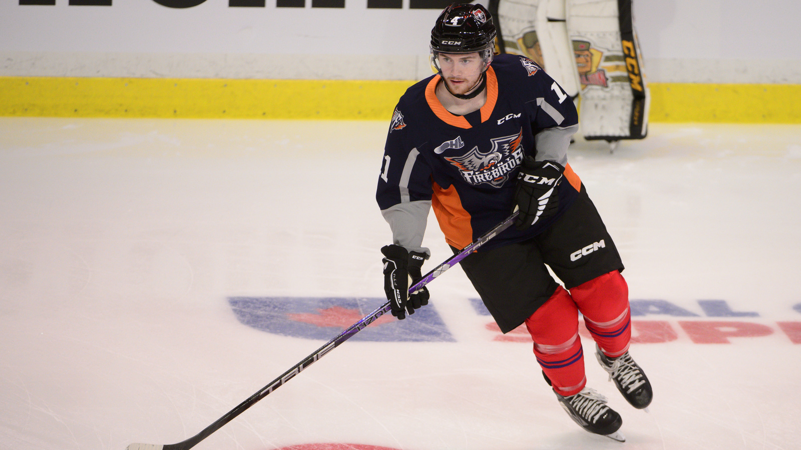 Anaheim Ducks sign Yegor Sidorov and Coulson Pitre to three-year, entry ...