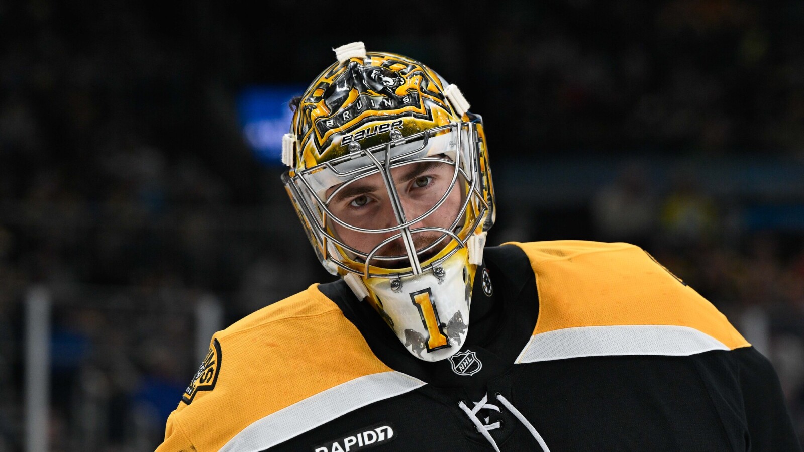 A Jeremy Swayman, Darcy Kuemper fight would have been electrifying ...