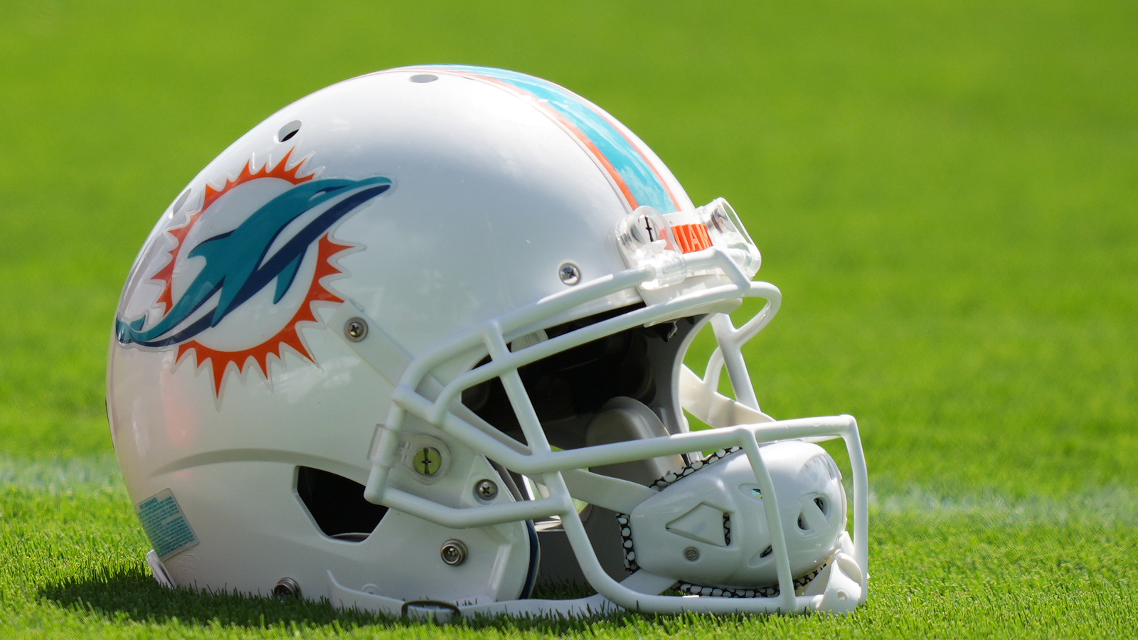 Dolphins FIRE Two from Scouting Department | Yardbarker